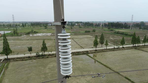 insulator-haze Object Detection Dataset by yolov10