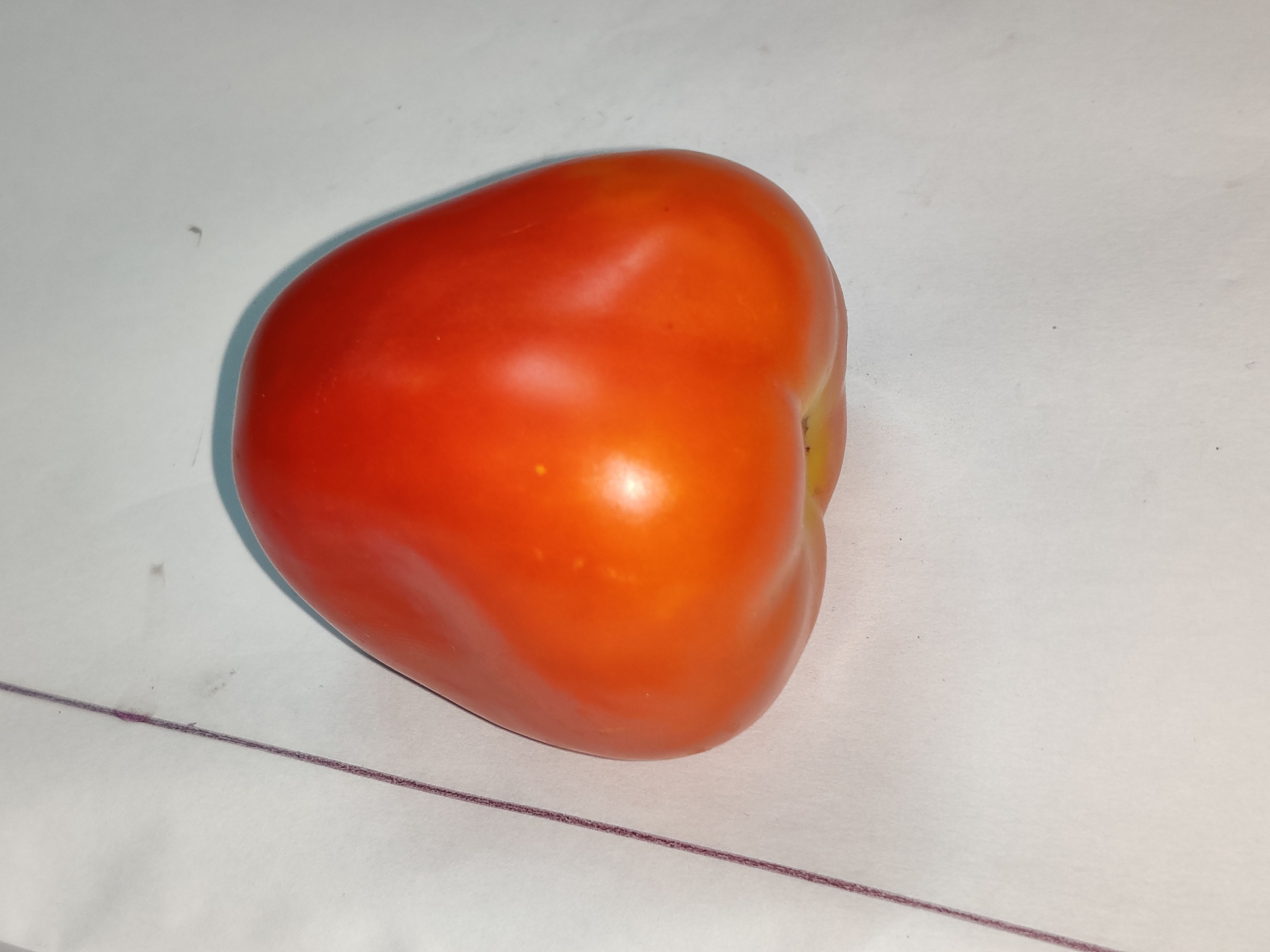 Tomato_Grade1 Object Detection Dataset by MonishaHProject