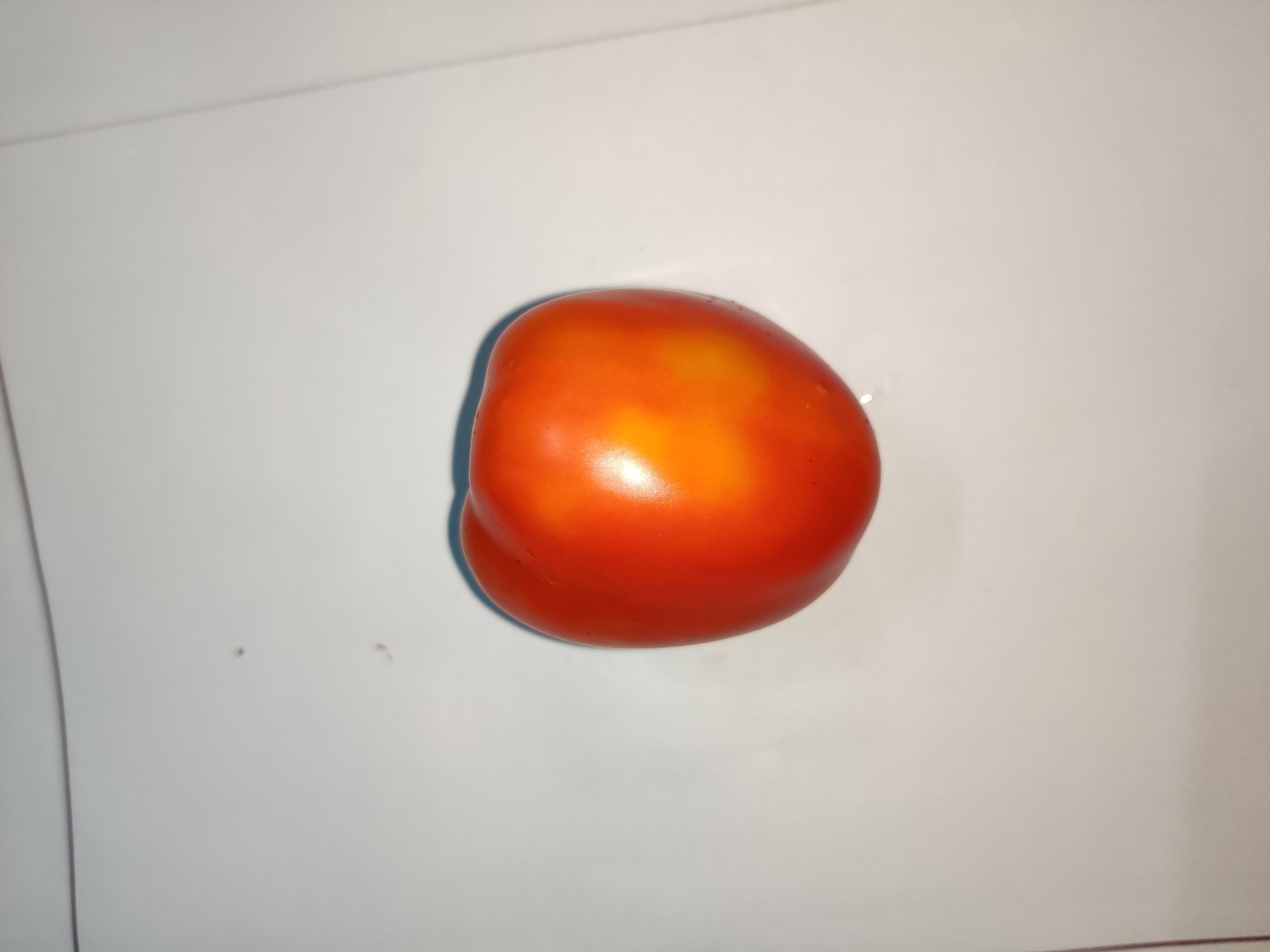 Tomato_Grade2 Object Detection Dataset by MonishaHProject