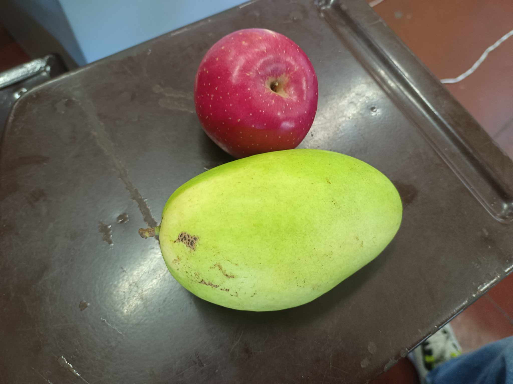 Veronica Reyes (veronica-reyes-ahpeu) - Roboflow Universe