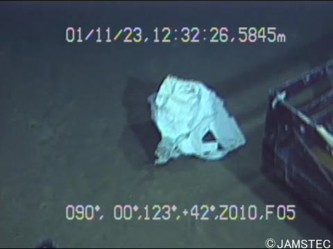 Plastic Object Detection Dataset by PlasticDetection