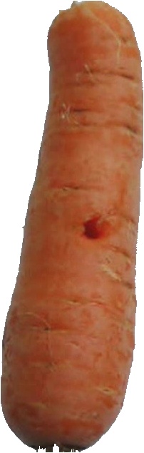 Fruits Classification Dataset By Object Detection For Iti107