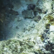 Samuel Sendzul - Roboflow Universe