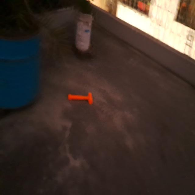 Updated Dataset 2025 Object Detection Model By Yuaarovercv