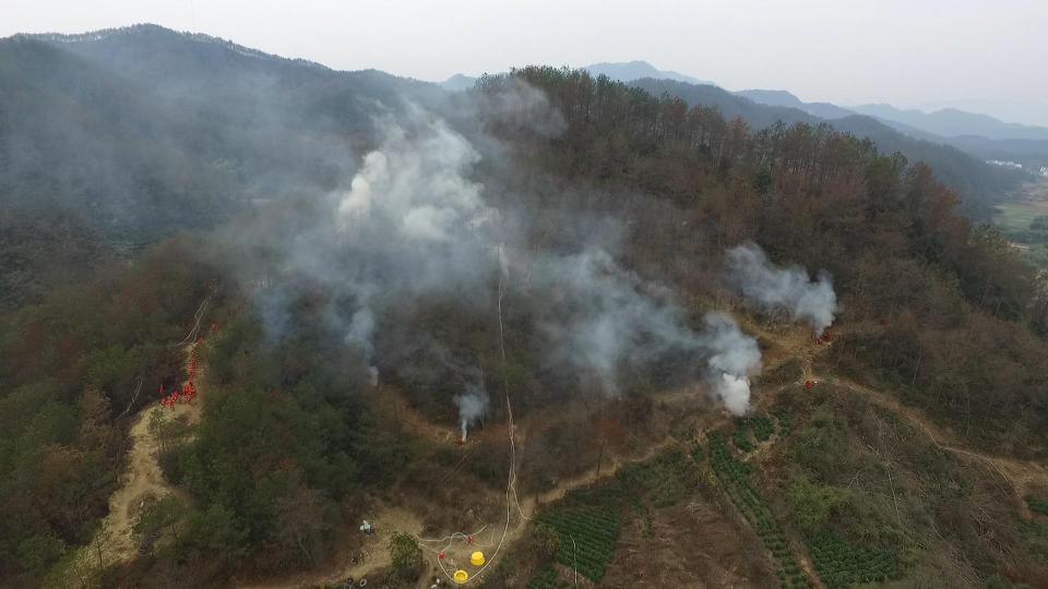 fire detection Object Detection Dataset and Pre-Trained Model by Plaree