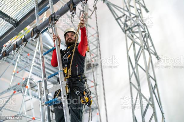 Harness_Detection Object Detection Dataset by Harness