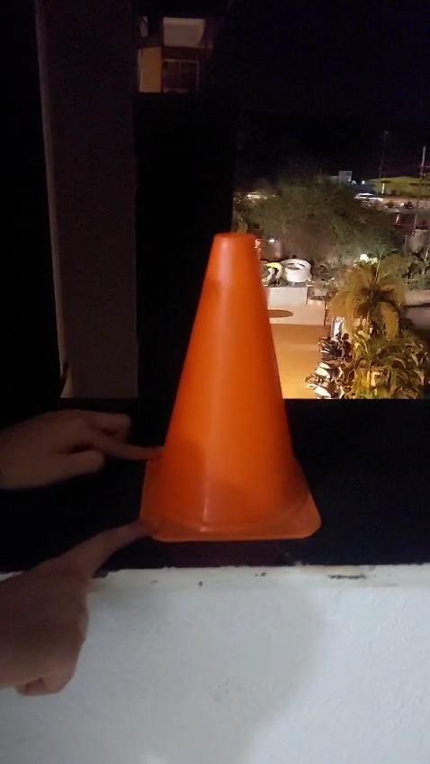 How to Use the segmentacion proyecto Instance Segmentation API