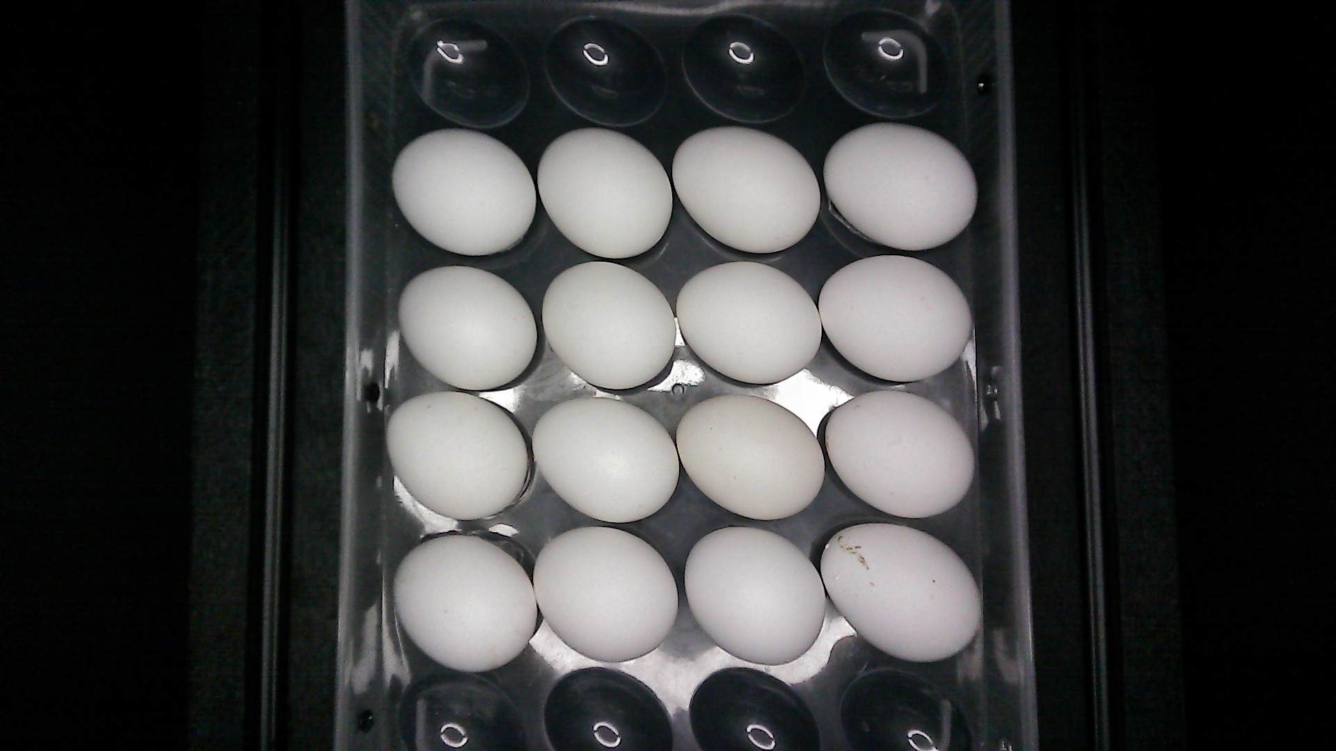 Egg Group Object Detection Model By Egg Crack Stain And Size Detection System