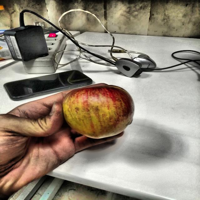 apple-detect Object Detection Model by Peter Sokhn