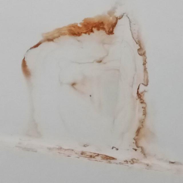 Damp Stain Instance Segmentation Dataset by fck