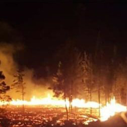 forest fire detection Object Detection Dataset and Pre-Trained Model by ...