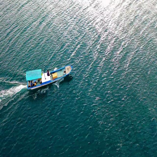 DG_ktlg Object Detection Dataset and Pre-Trained Model by MSKU