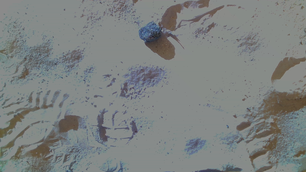 Rock Detection Object Detection Dataset By Coneseg