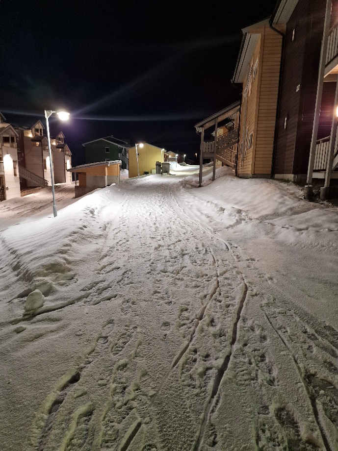 road Instance Segmentation Dataset by IAS