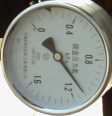 555 Instance Segmentation Dataset by project-un9kj