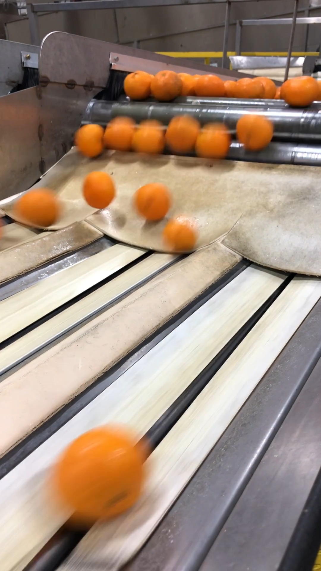 CV Object Detection Dataset and Pre-Trained Model by CV