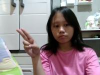 dsp final proj - Roboflow Universe