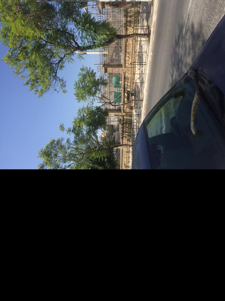 portafolio_6 Object Detection Dataset and Pre-Trained Model by portafolio 6