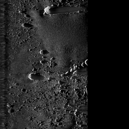 Wadugs - Roboflow Universe