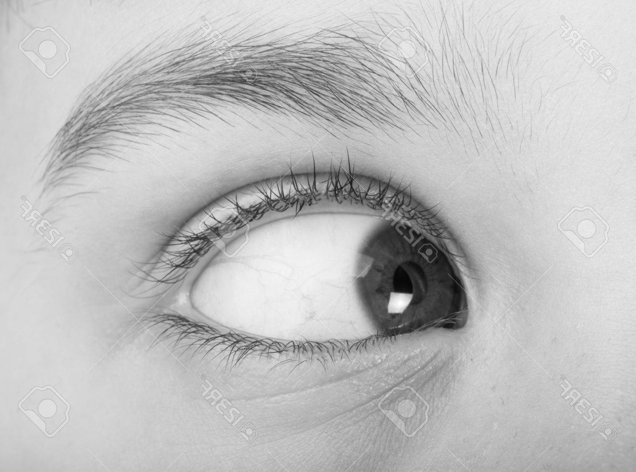 Eyes detect - Roboflow Universe