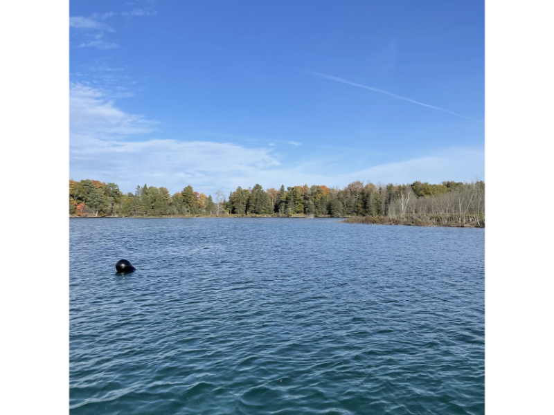 Robotx Object Detection Model by Lake Superior State University