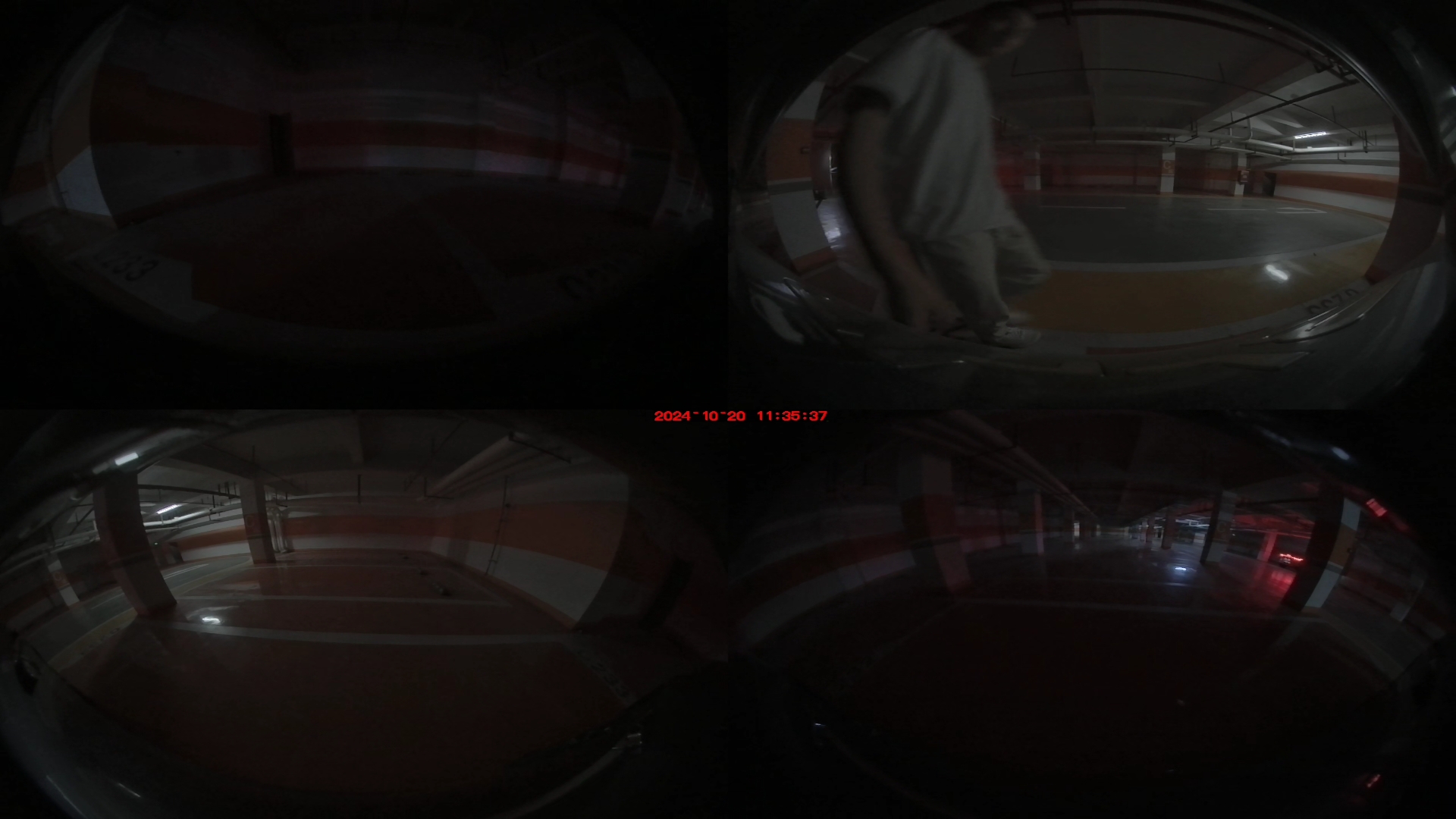 dip Object Detection Dataset and Pre-Trained Model by diplus