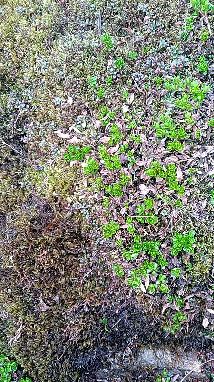 inspiring lab (inspiring-lab-zkh6v) - Roboflow Universe