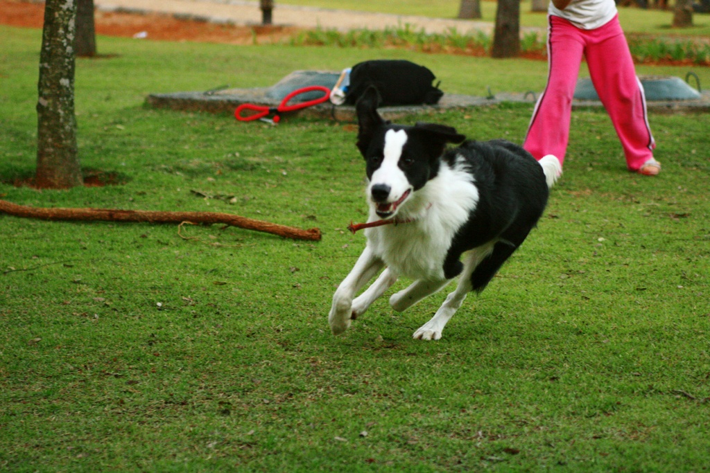 Val Object Detection Dataset by none