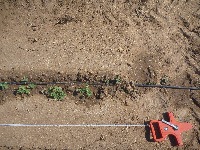 Leopard Data - Roboflow Universe