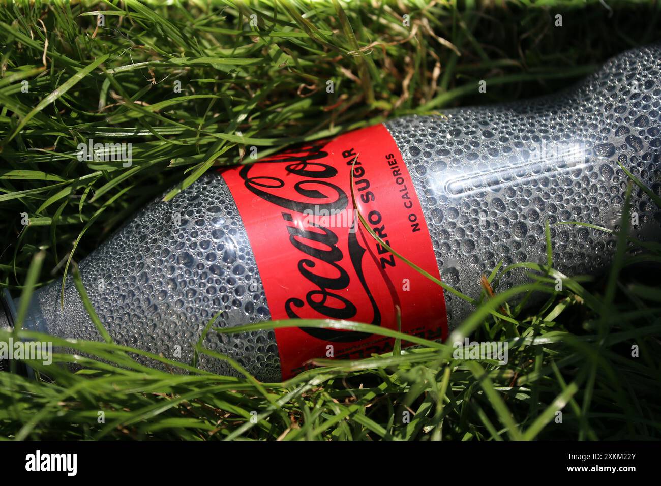 Bin Project Object Detection Model by Tharsan