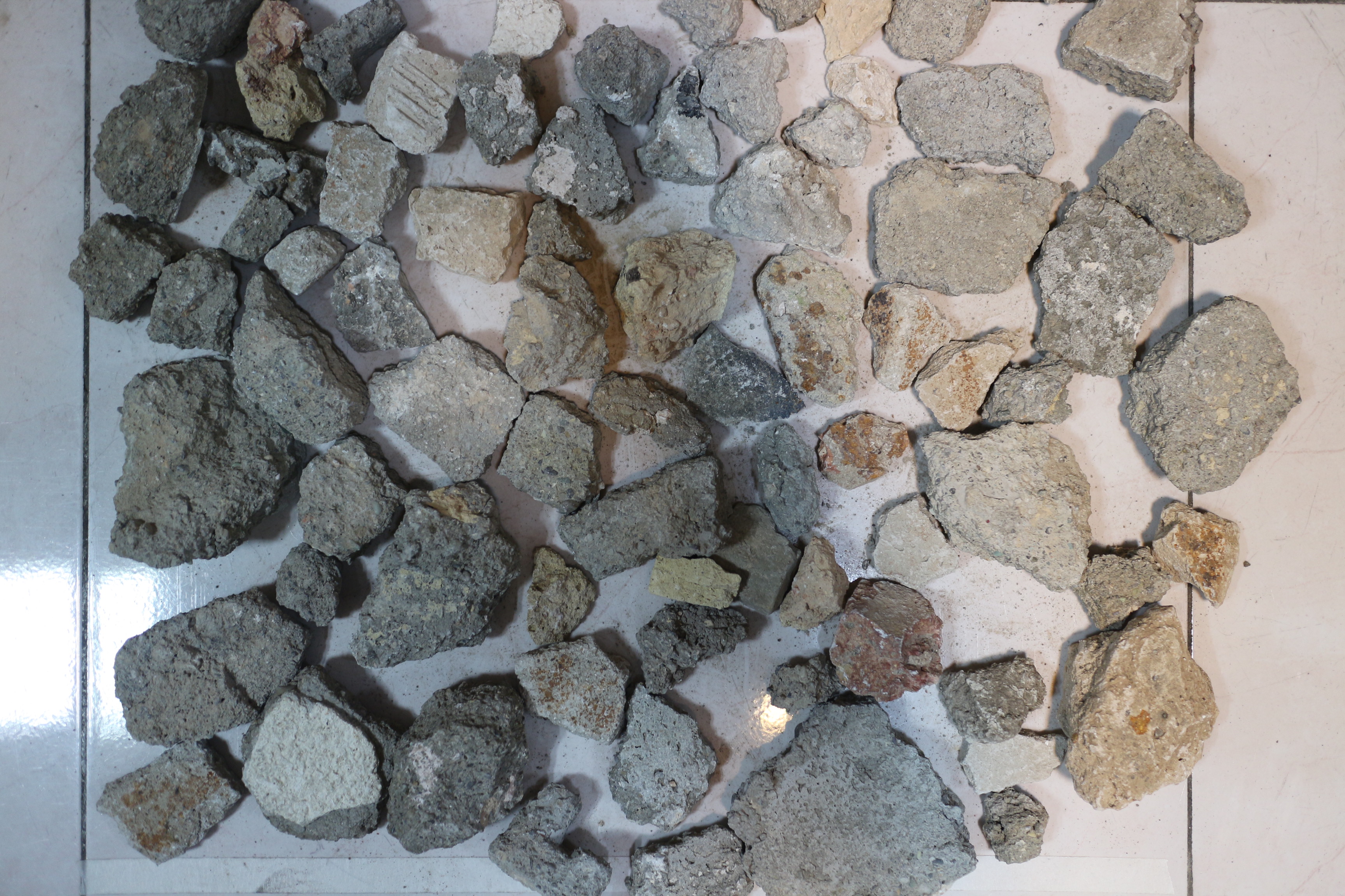 OIP Instance Segmentation Model by OIP