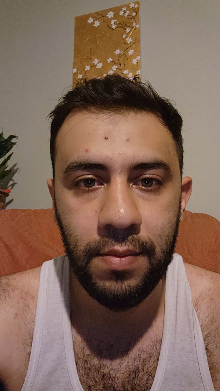 farshidyab Object Detection Dataset and Pre-Trained Model by Farshid Rasolzadeh