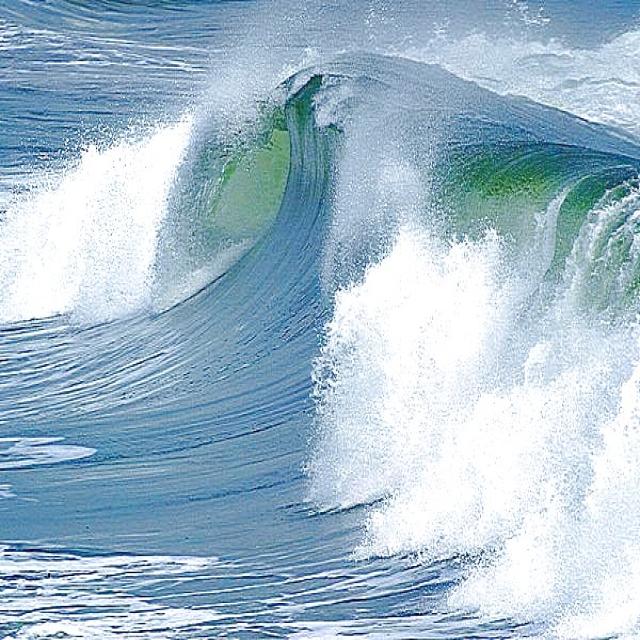 Arav - Roboflow Universe