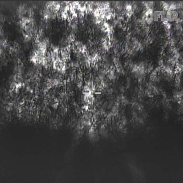 bird-nests Object Detection Dataset by birdnests