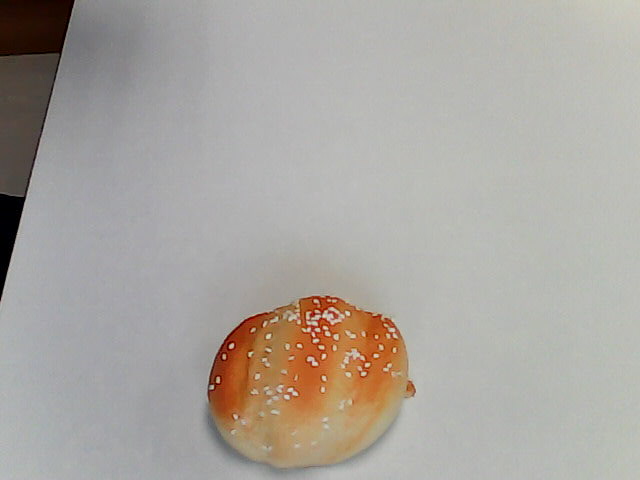 Snake Detection - Roboflow Universe