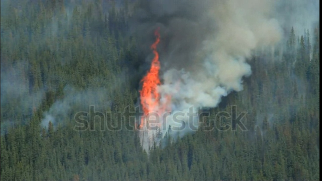 Image Classification Object Detection Dataset And Pre Trained Model By Suvarna