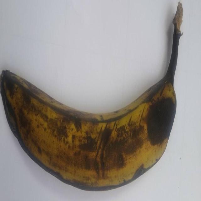 fruitsSeg Instance Segmentation Dataset and Pre-Trained Model by master student