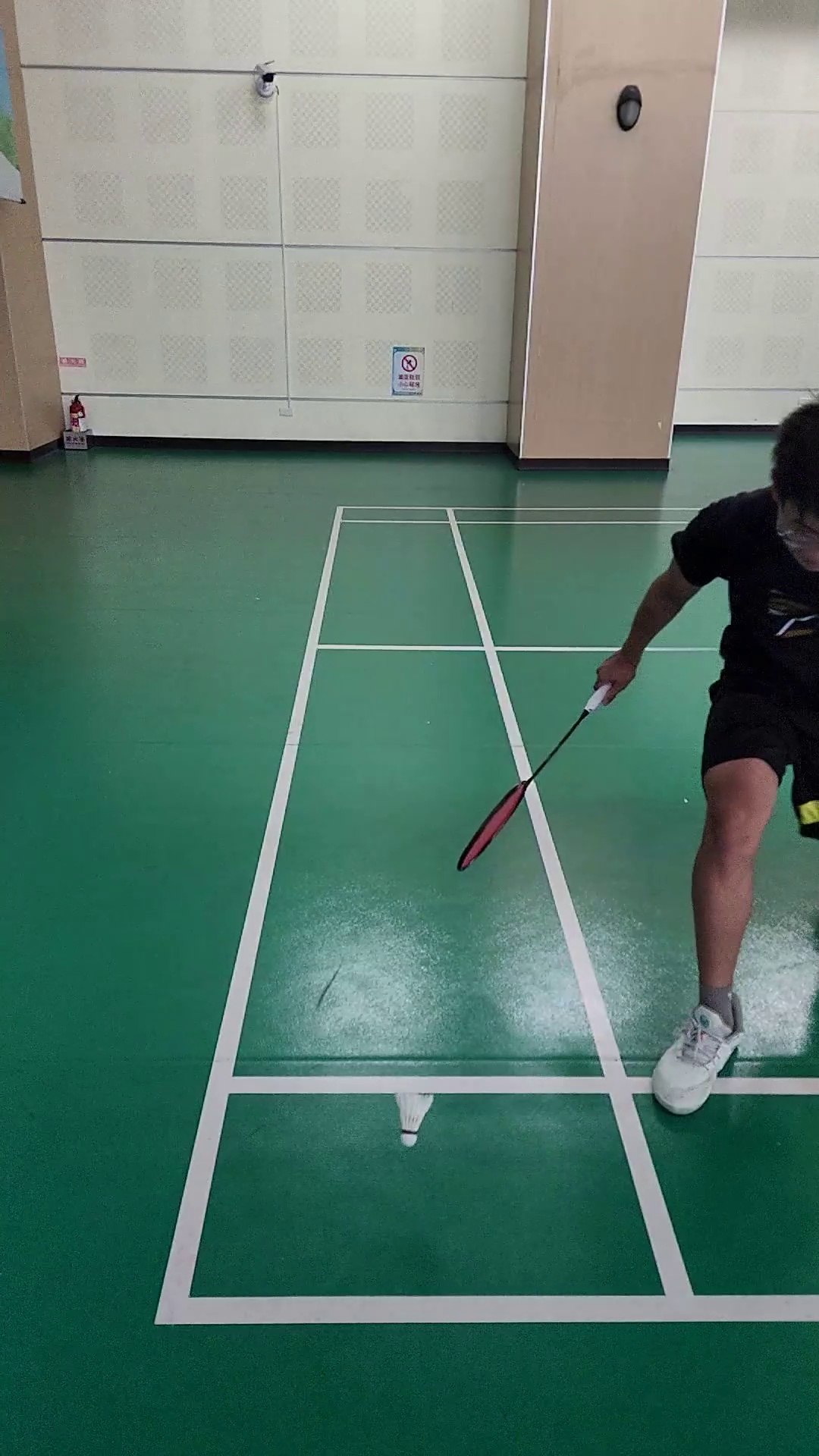 badminton Object Detection Dataset by yolo