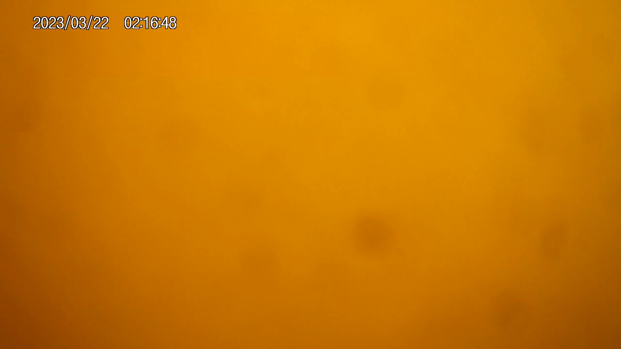 detection Object Detection Dataset by fish