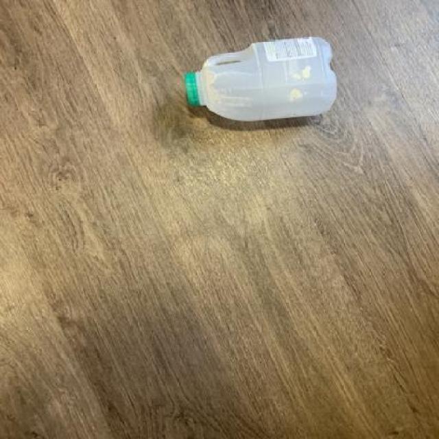 gingging (gingging-px4cd) - Roboflow Universe