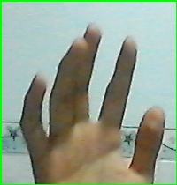 Classification waste Classification Model by GKHANG