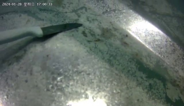 new merged knife Object Detection Dataset by Turtle