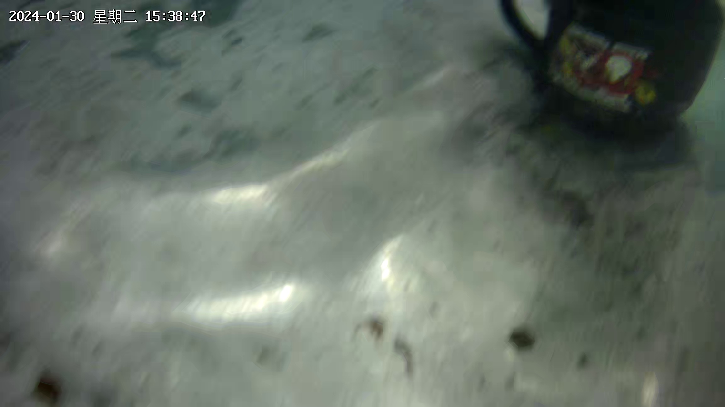 pool-5-classes_132_allknow Object Detection Dataset by Turtle