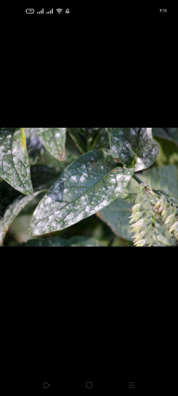 jhhk Object Detection Dataset by aaaaaaassddf