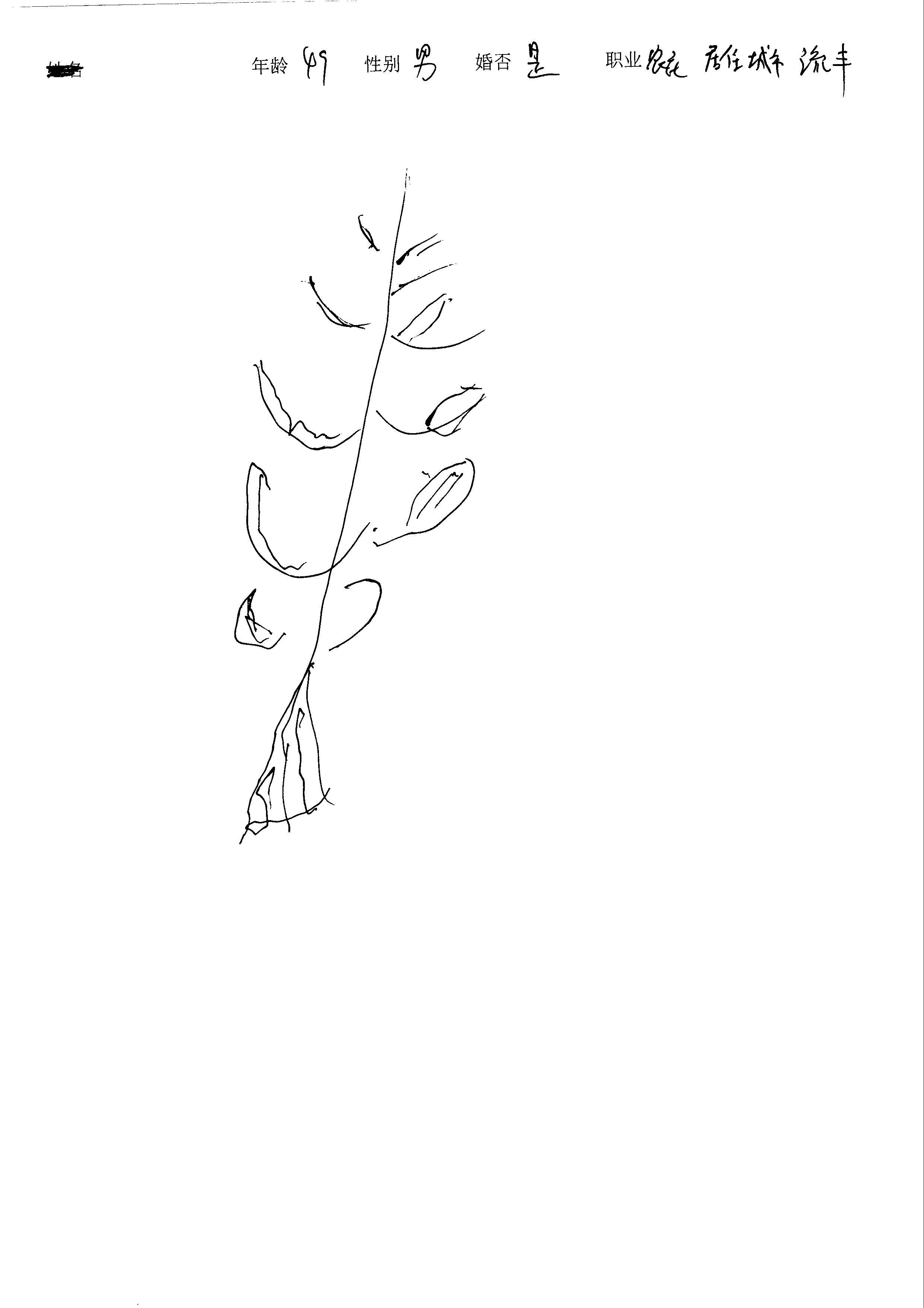 How to Use the TreeDrawingTest Object Detection API