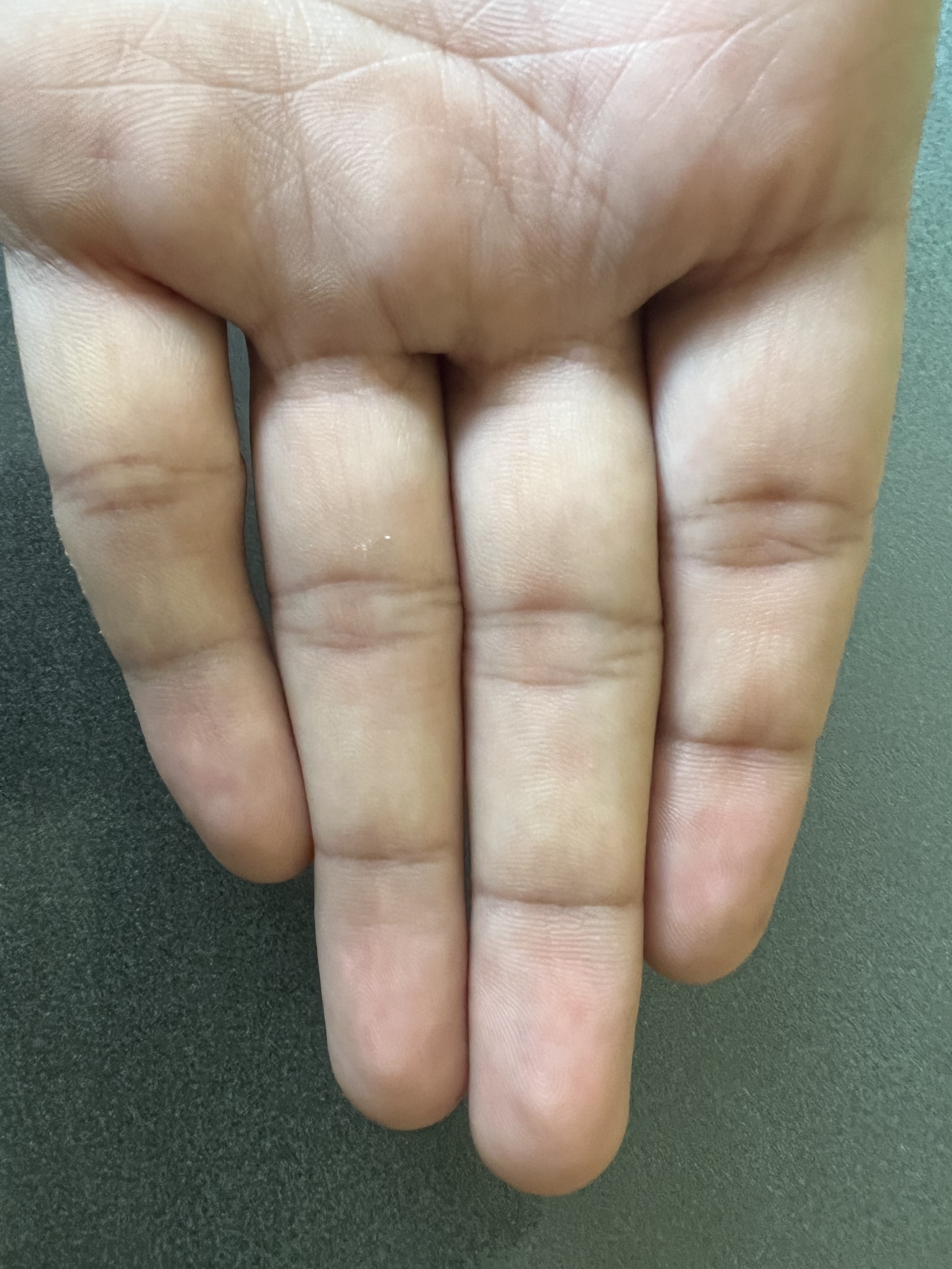 cse666 - Roboflow Universe