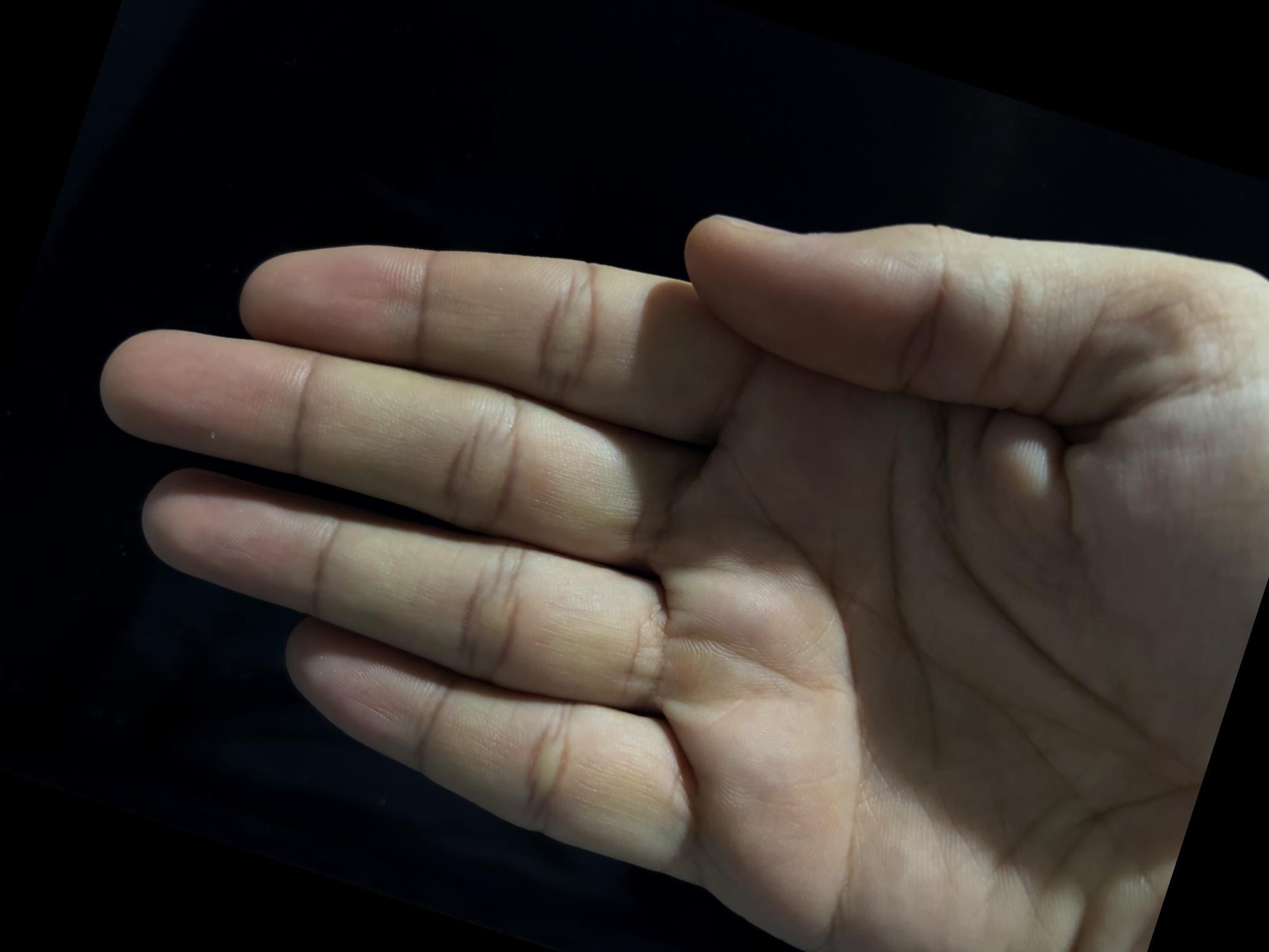 Hand Customdataset Object Detection Dataset By Cse666