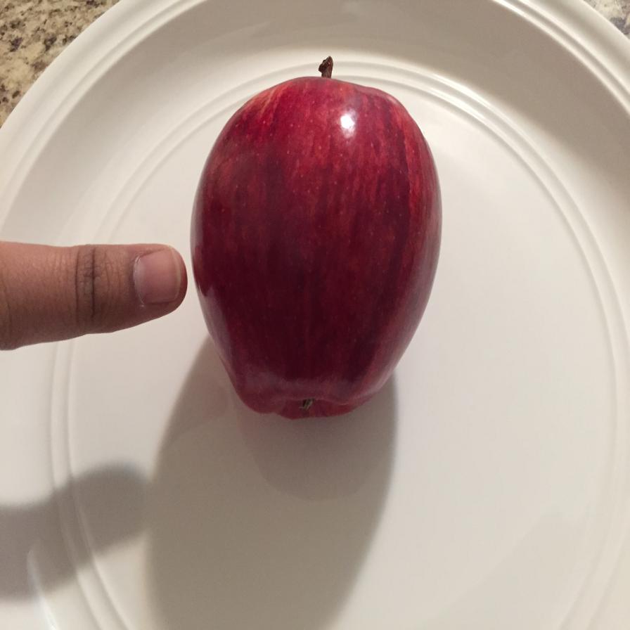 food recognition tt Object Detection Dataset by Food and calorie detection