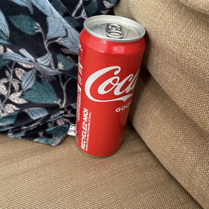 Carton 2.0 Object Detection Dataset by Constant Druon