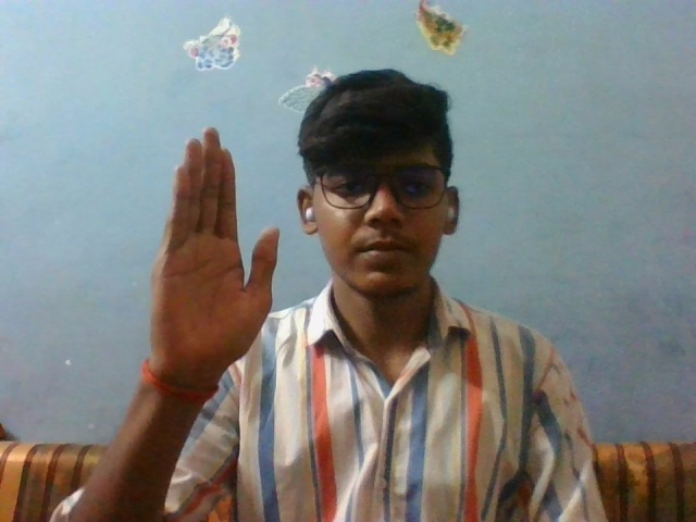 Sign Language Project Object Detection Model by bapu